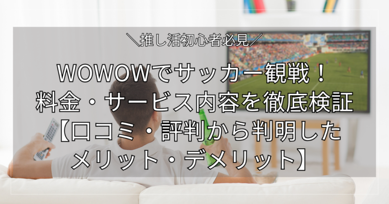 WOWOWでサッカー(CL・ELだけ)観戦！料金・サービス内容を徹底検証【口コミ・評判から判明したメリット・デメリット】 | せかサカ